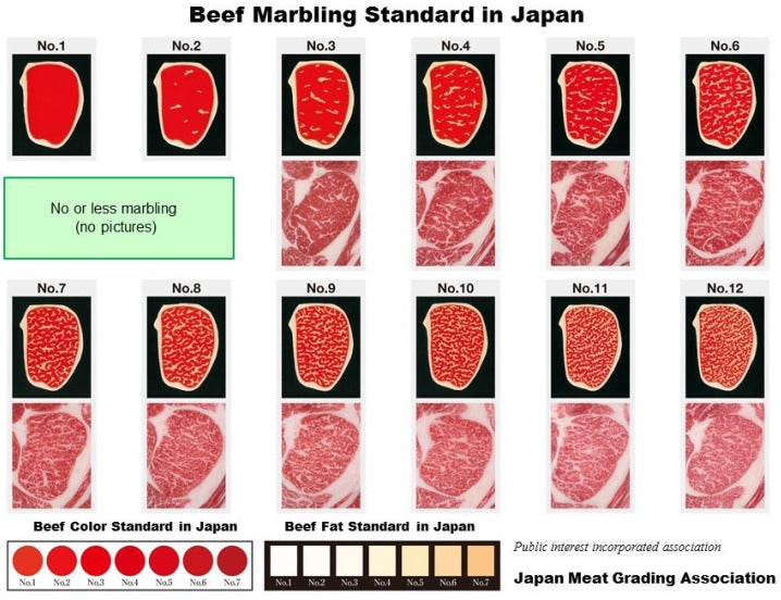 Wagyu Grades and Cuts – HeartBrand® Beef