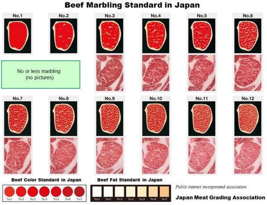 Wagyu Grades and Cuts – HeartBrand® Beef