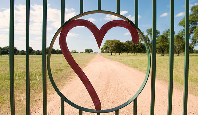 Contact | HeartBrand Beef